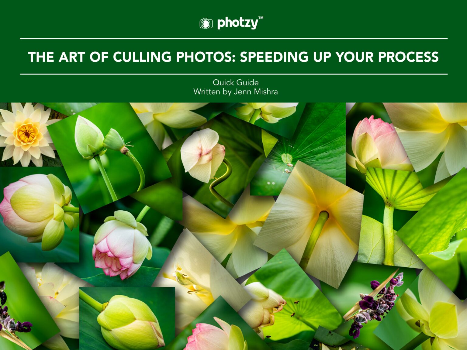 The Art of Culling Photos: Speeding Up Your Process - Free Quick Guide ...