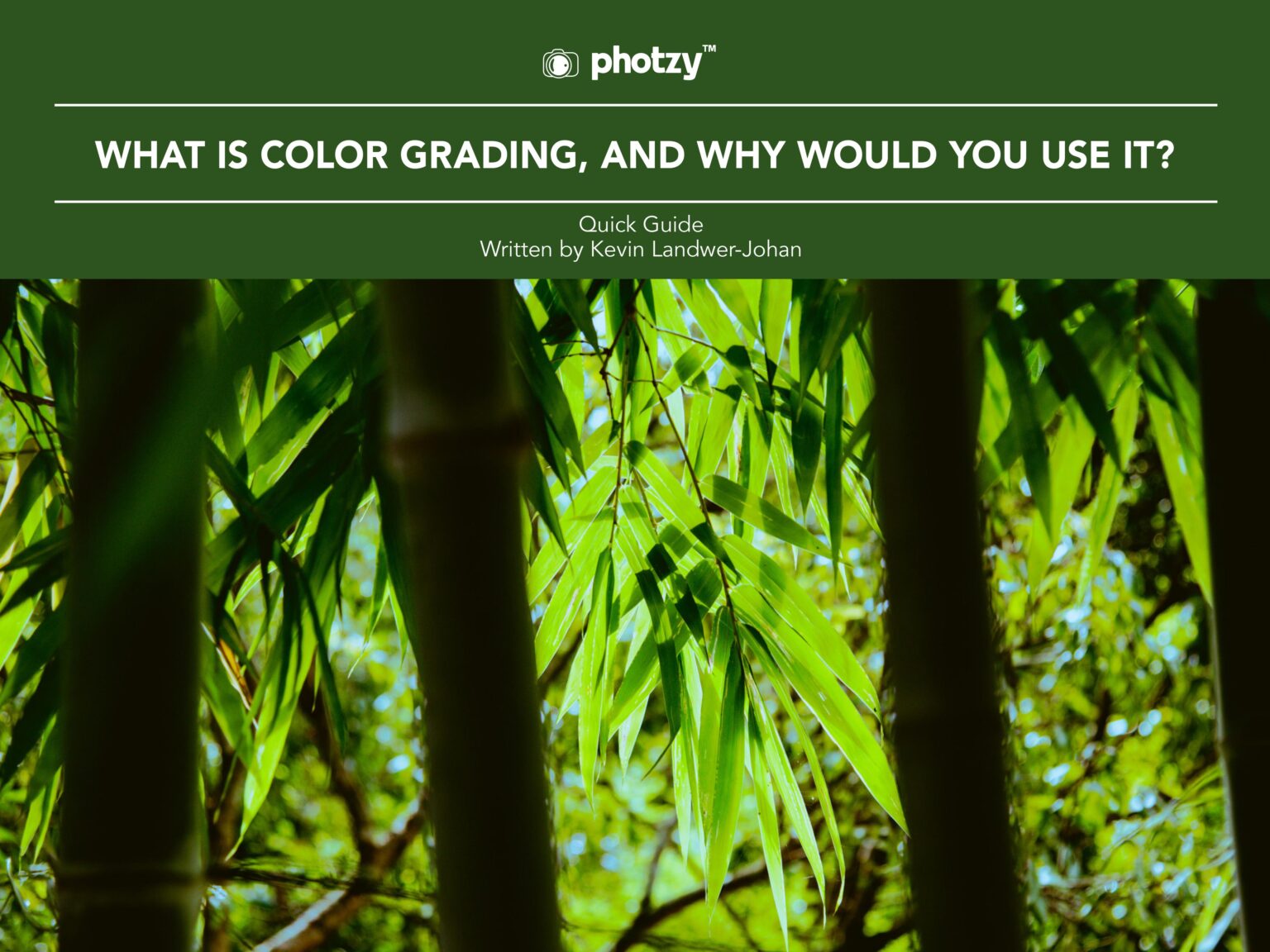 What Is Color Grading, and Why Would You Use It? - Free Quick Guide ...