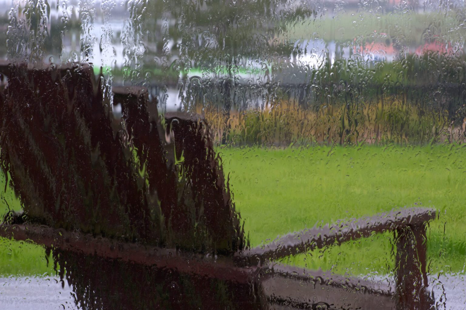 Getting Creative by Shooting Through Objects | Photzy