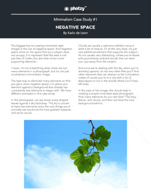 Minimalism Photography Extended Case-Studies (80% off)